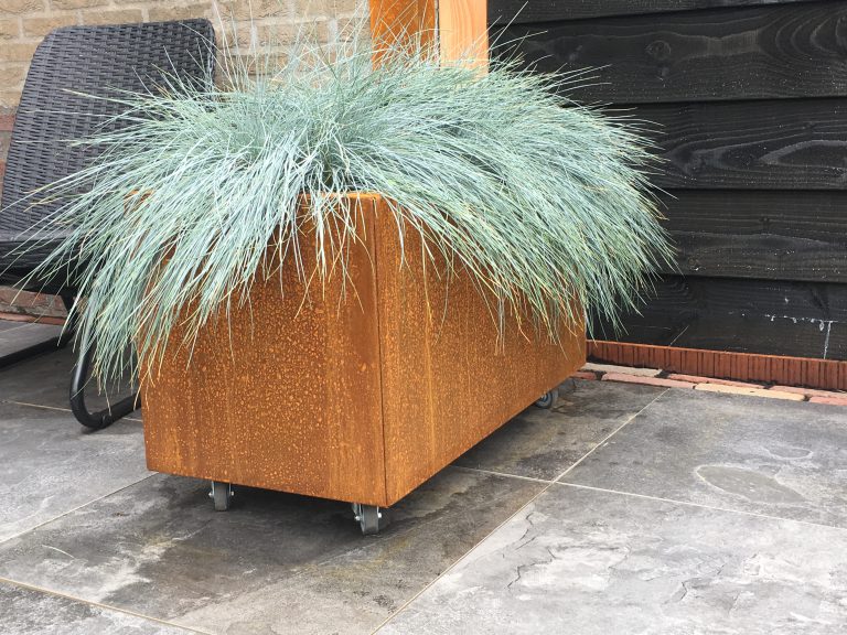 Planten die gaaf zijn in een cortenstaal plantenbak | Metal Garden